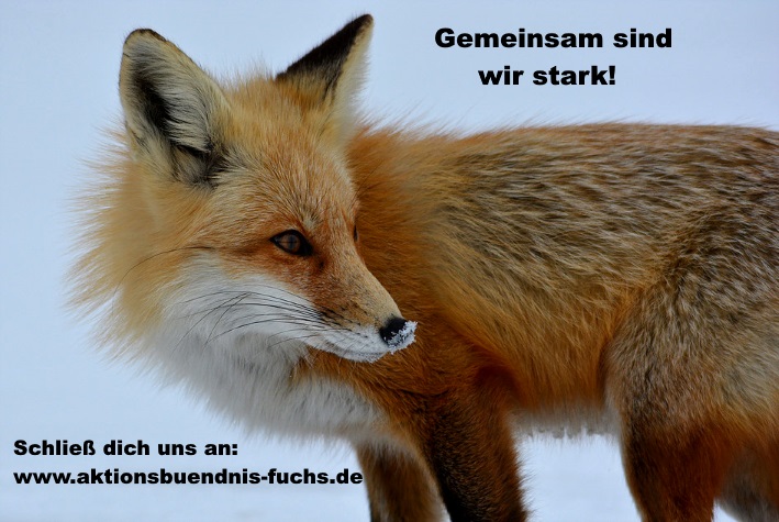 Aktionsbündnis Fuchs - PARTEI MENSCH UMWELT TIERSCHUTZ